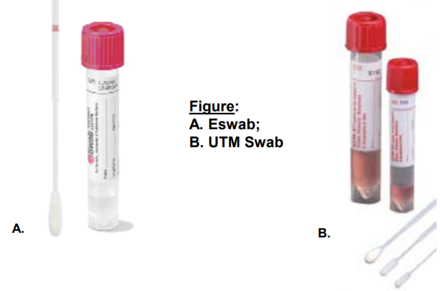 Evaluation Of The Eswab™ Transport System For Rapid Antigen And