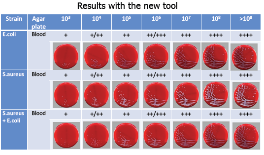Isolation Streak With Quadrants