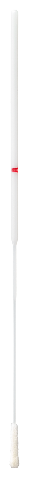 FLOQSwabs® Flocked Swabs 503CS01 | COPAN