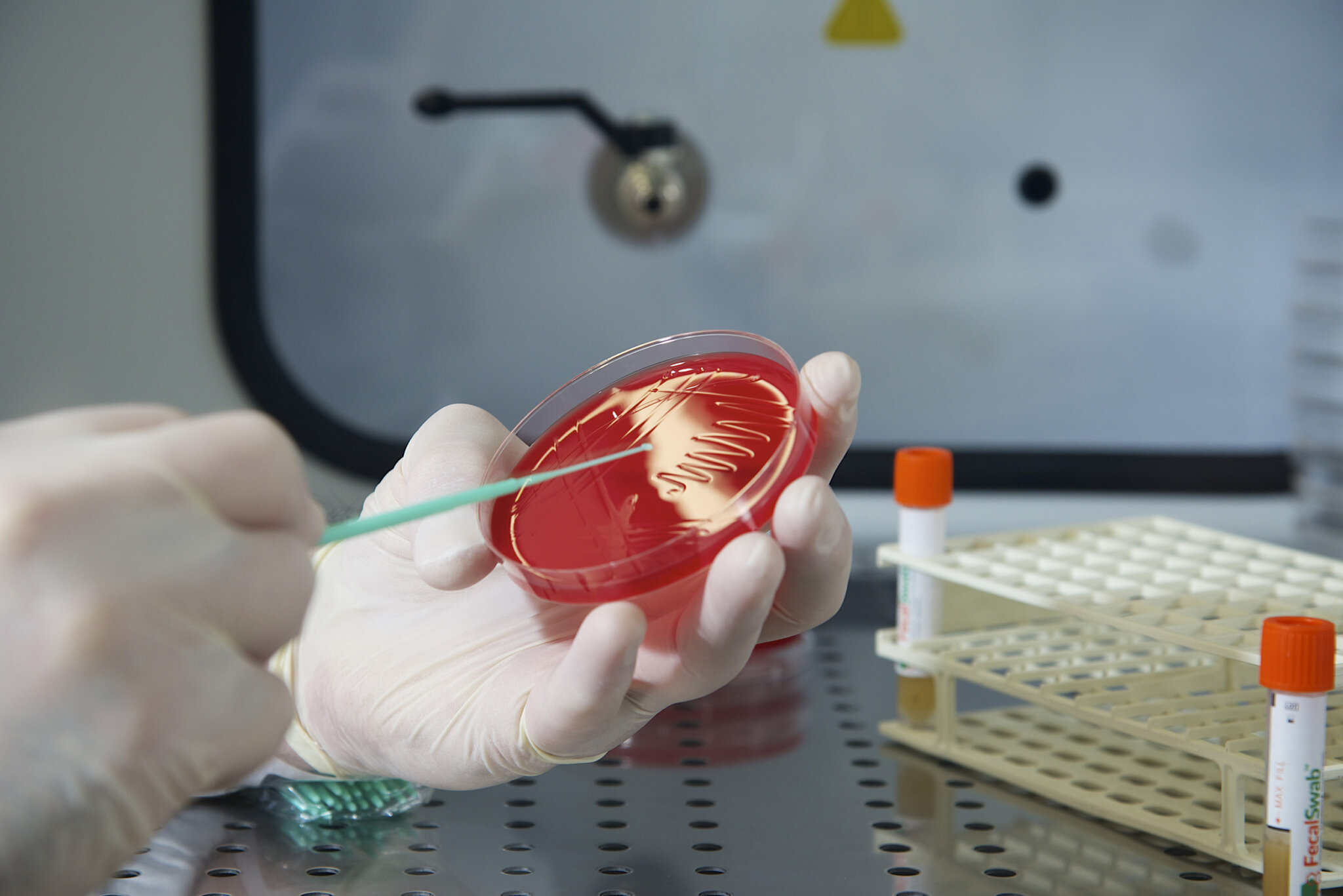 Comprehensive Guide to Cary-Blair Transport Medium: The Gold Standard ...