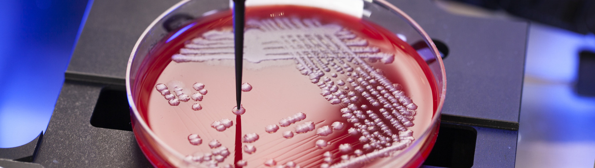 Laboratory Automation | COPAN