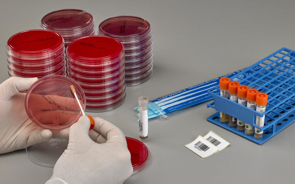 Sample Collection & Transport Kits | COPAN