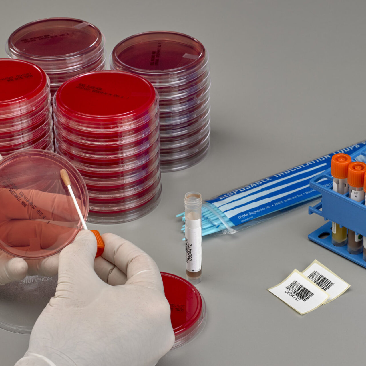 FecalSwab® System for Enteric Bacteria | COPAN