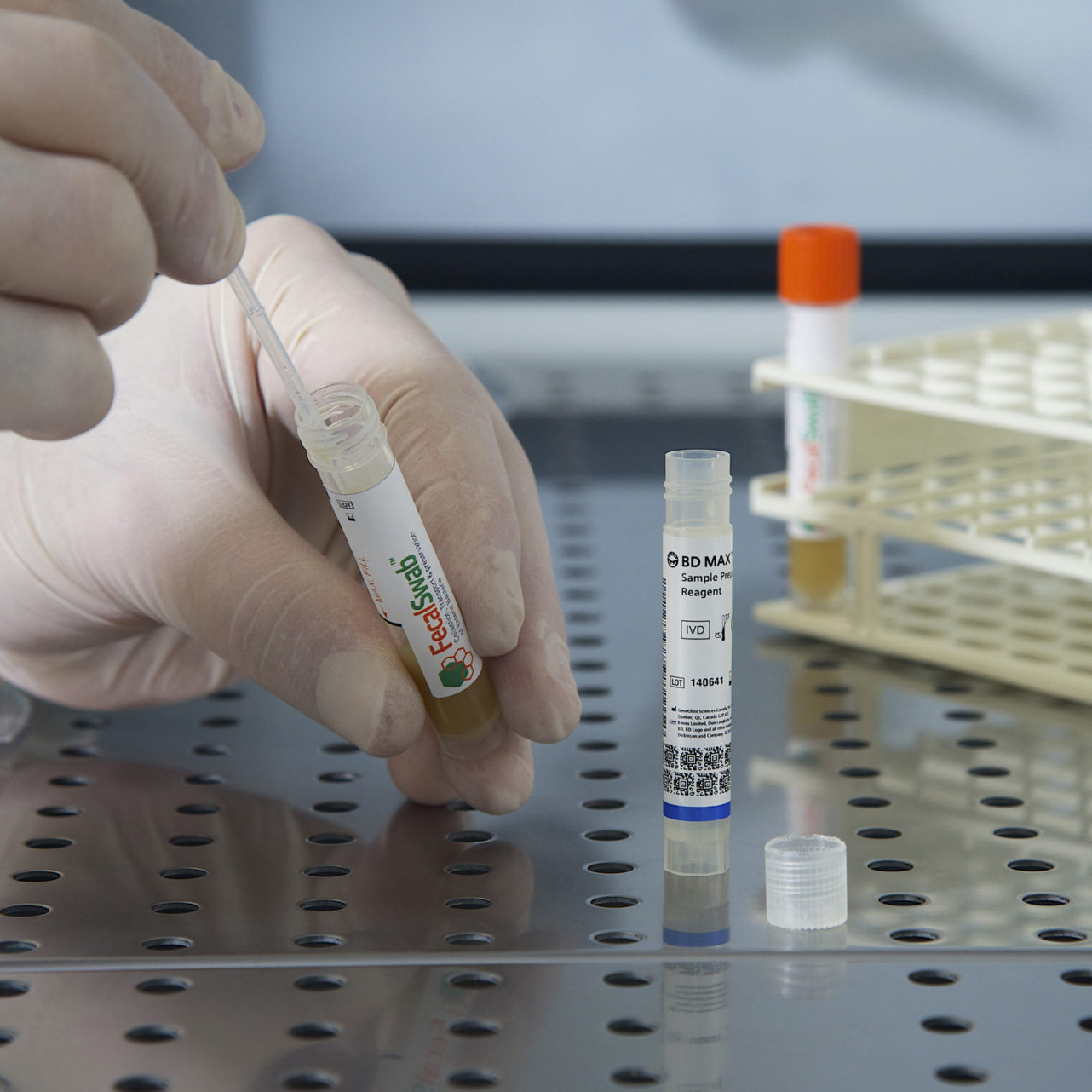 FecalSwab® System for Enteric Bacteria | COPAN