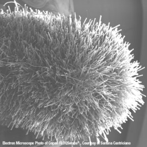 FLOQSwabs® Flocked Swabs | COPAN