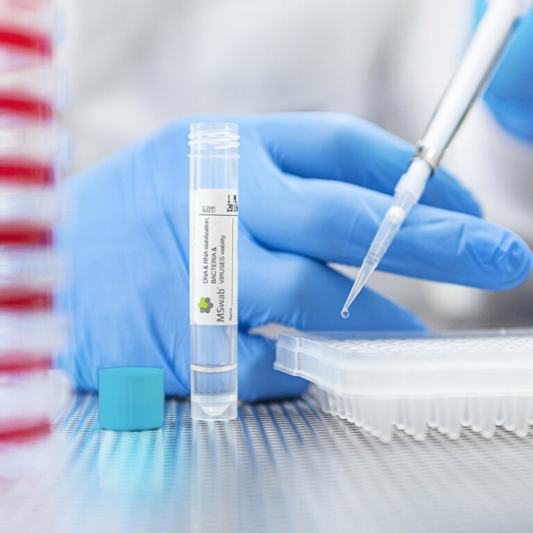 MSwab® System for Molecular Assays | COPAN