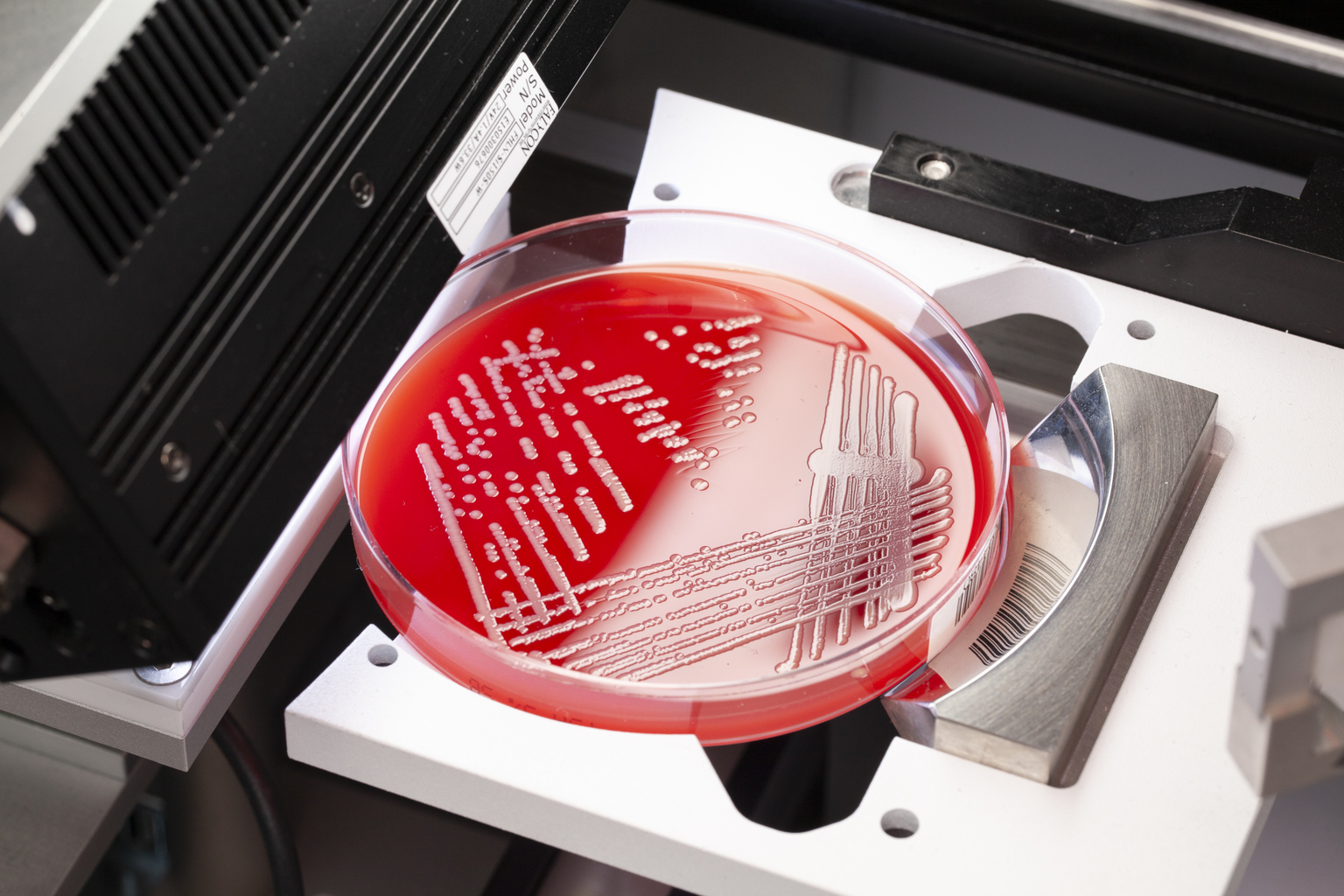 Laboratory Automation | COPAN