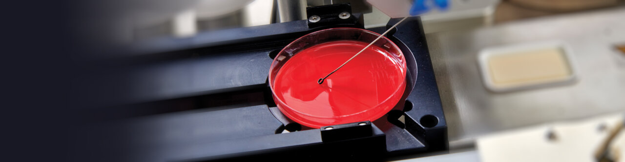 Laboratory Automation | COPAN