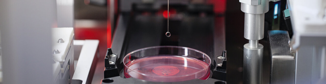 Microbiology Automation and AI | COPAN