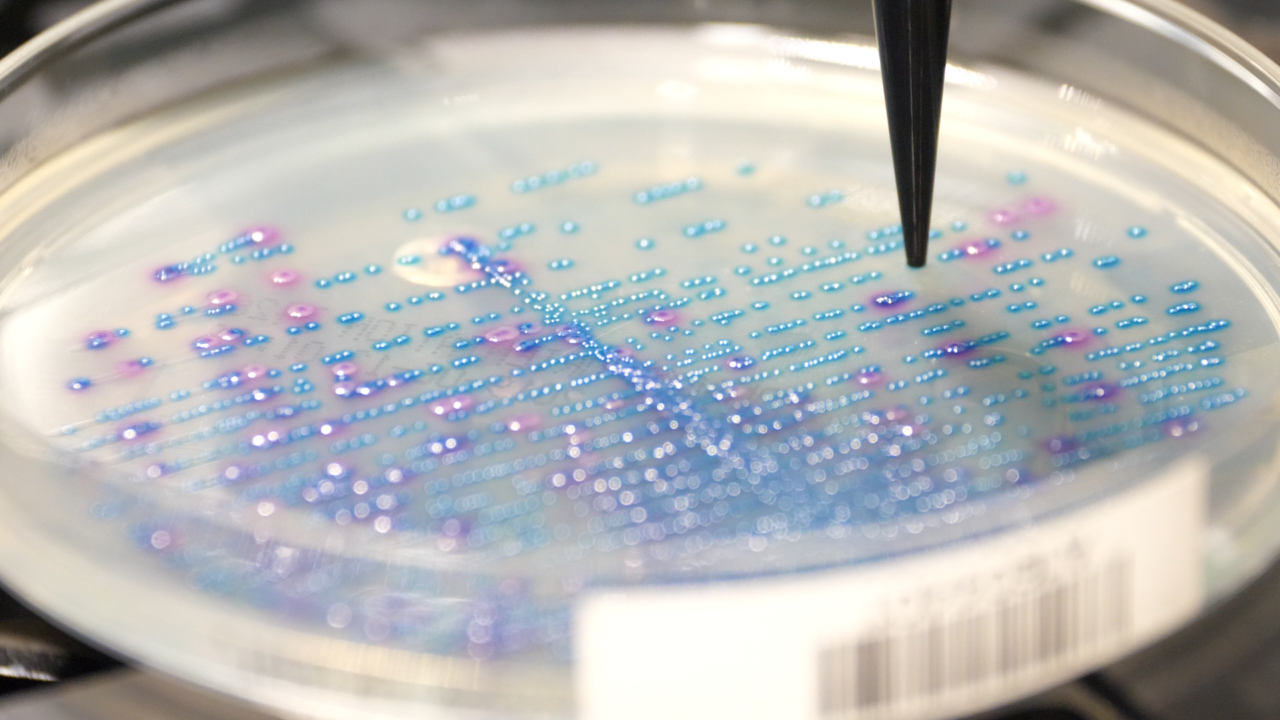 Colibrí™ FAQ | COPAN