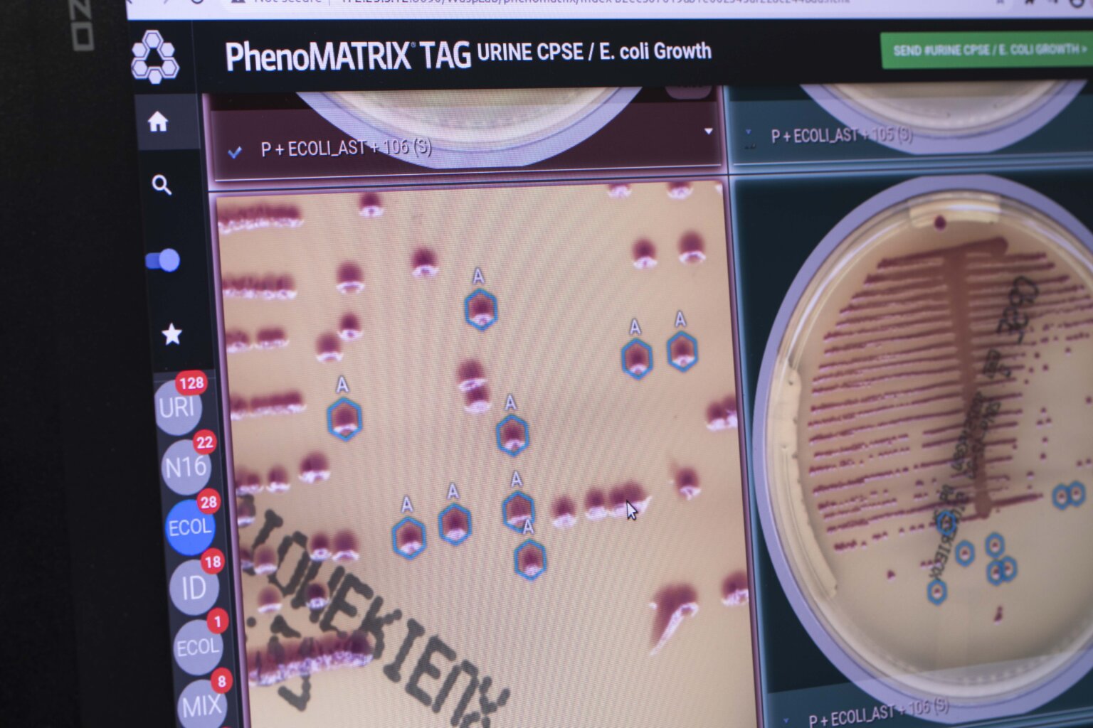 WASPLab® FAQ | COPAN