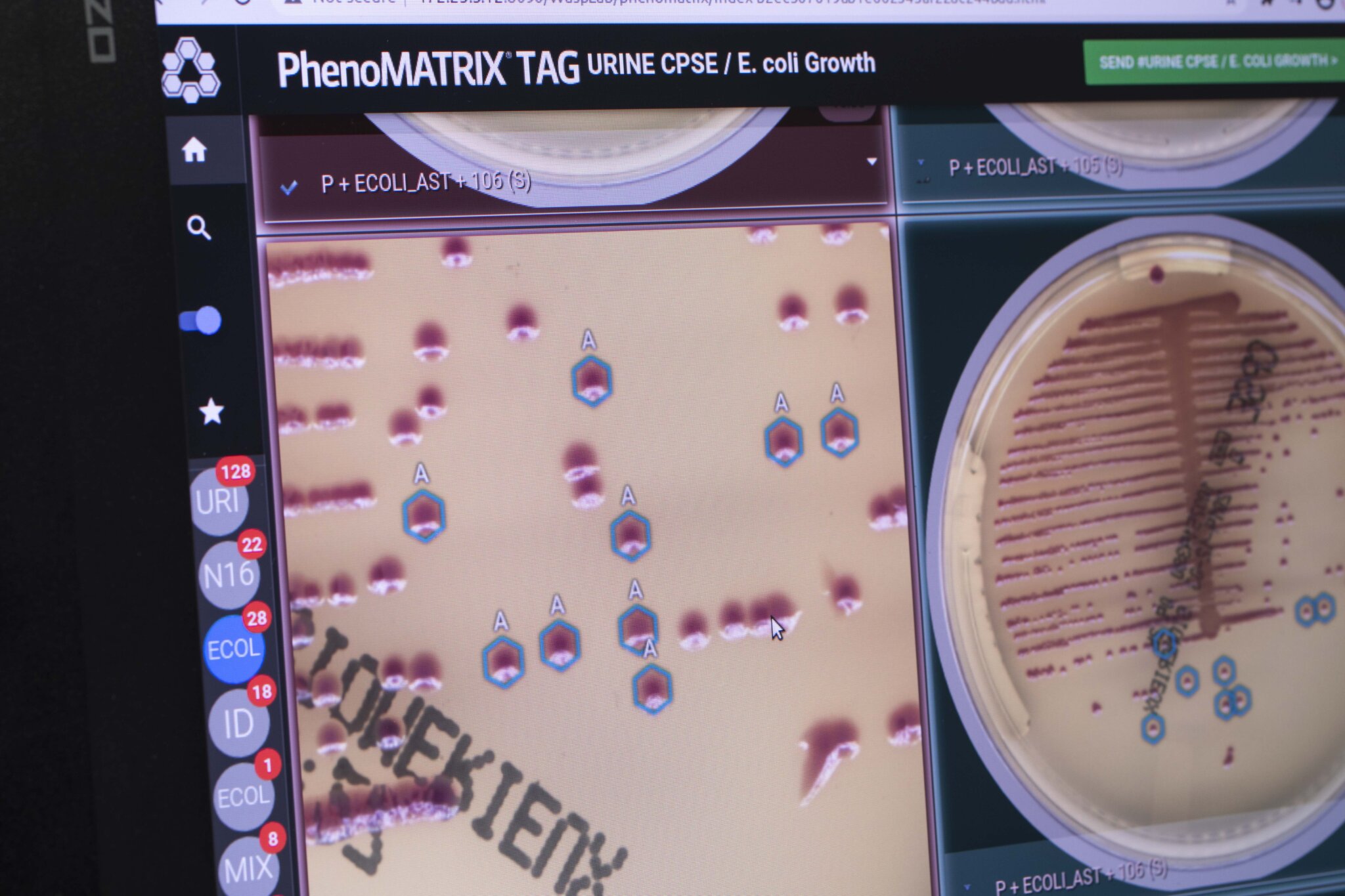 WASPLab® FAQ | COPAN