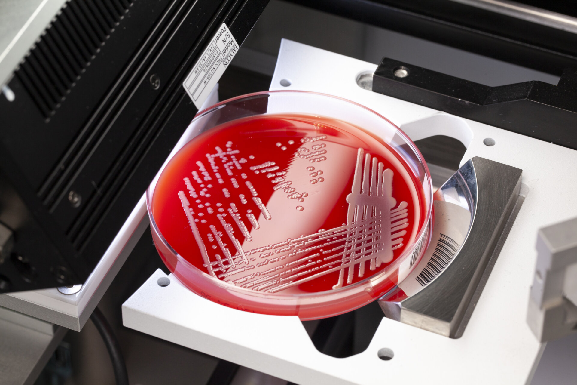 WASPLab® FAQ | COPAN