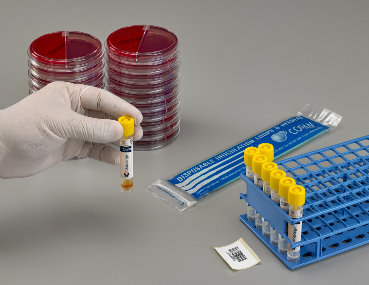 UriSponge® System for Urine Specimens | COPAN