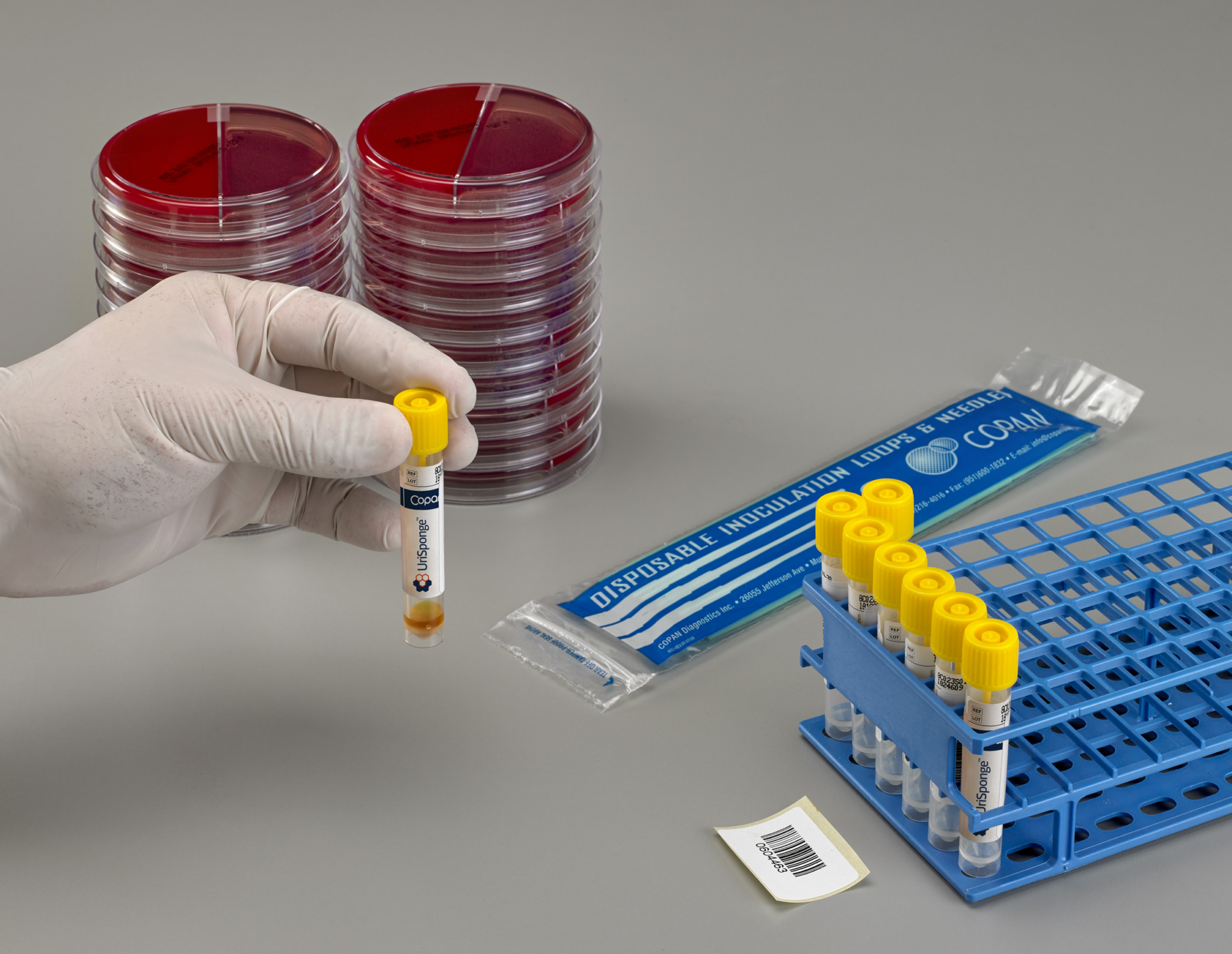 UriSponge® System for Urine Specimens | COPAN