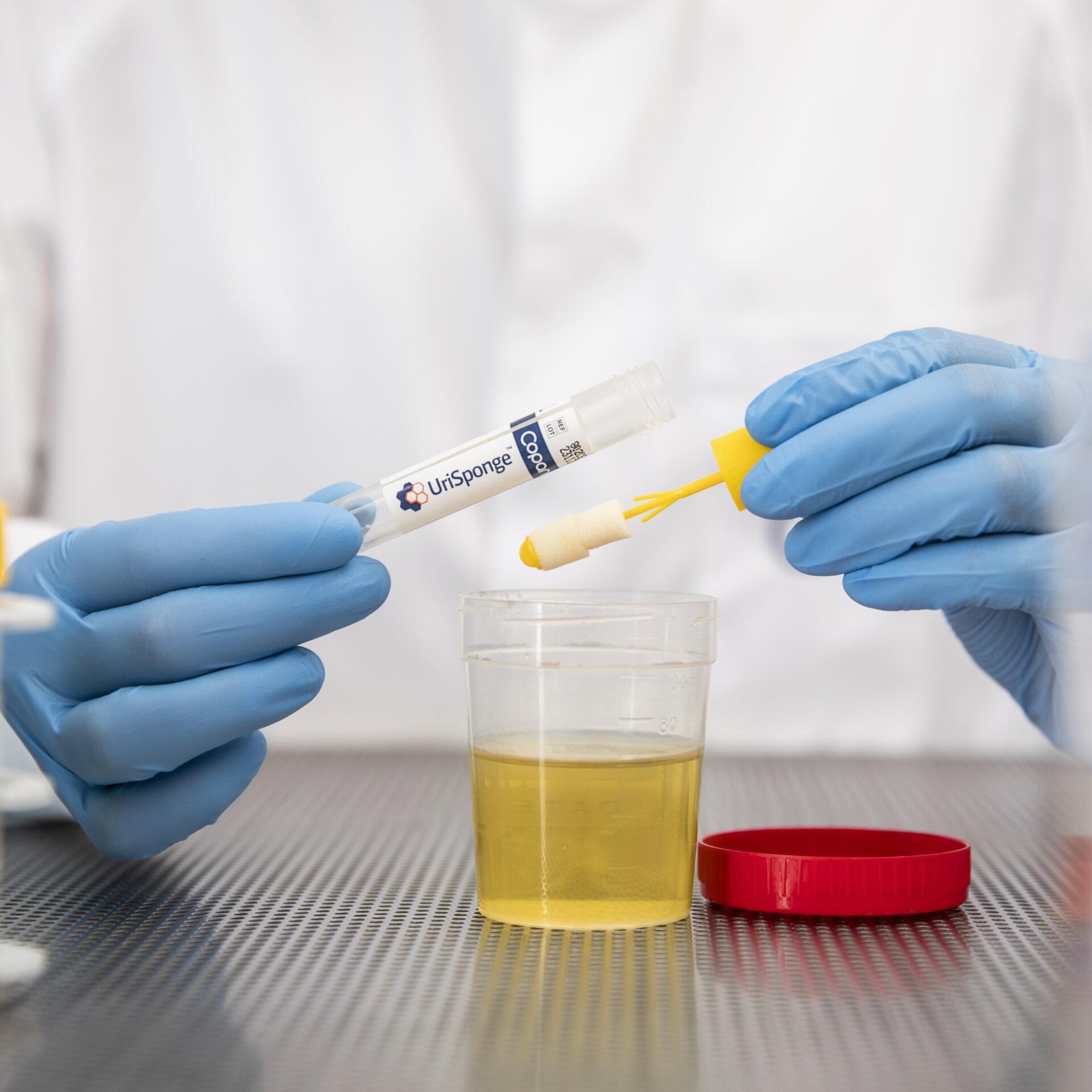 UriSponge® System for Urine Specimens | COPAN