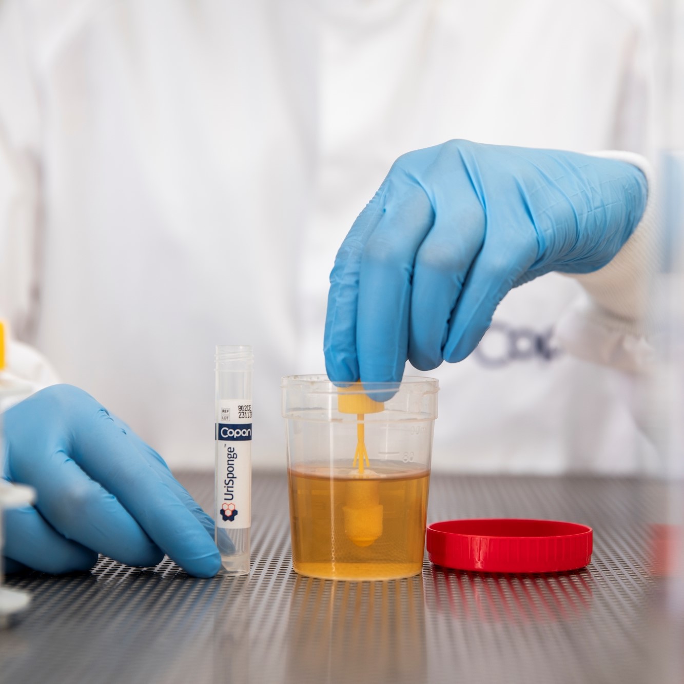 UriSponge® System for Urine Specimens | COPAN